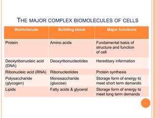 Biomolecules carbohydrates, lipids, nucleic acid | PPTX