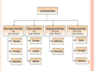 Biomolecules carbohydrates, lipids, nucleic acid | PPTX