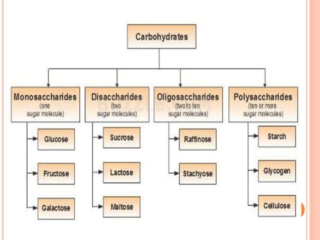 Biomolecules carbohydrates, lipids, nucleic acid | PPTX