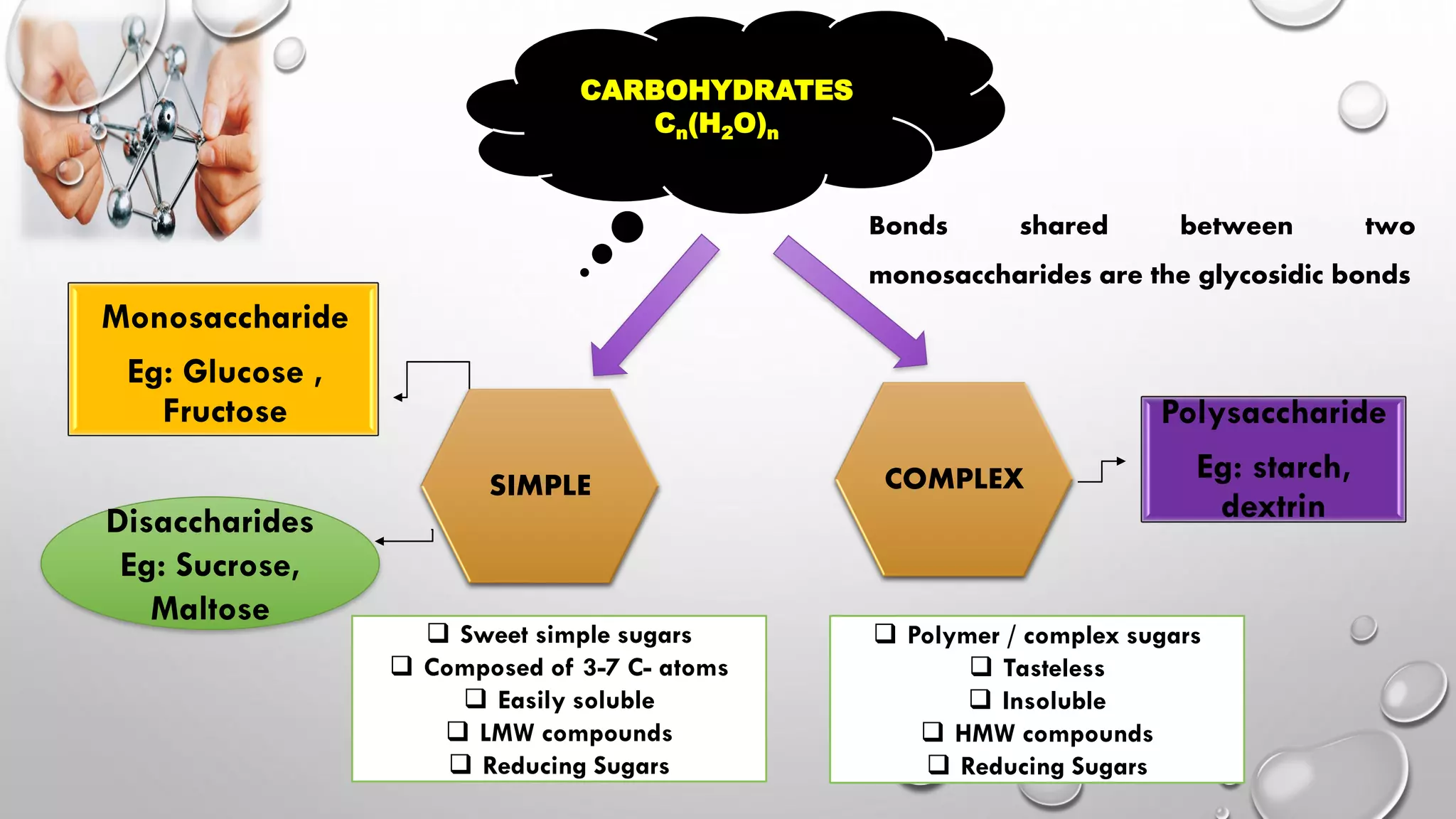 Biomolecules ; CARBOHYDRATES | PDF