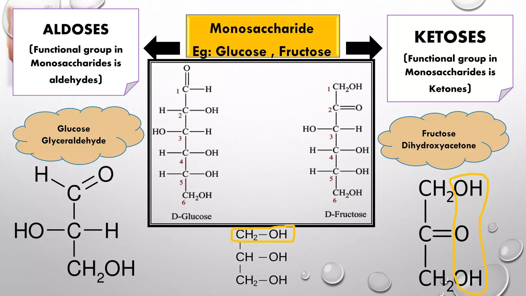 Biomolecules ; CARBOHYDRATES | PDF