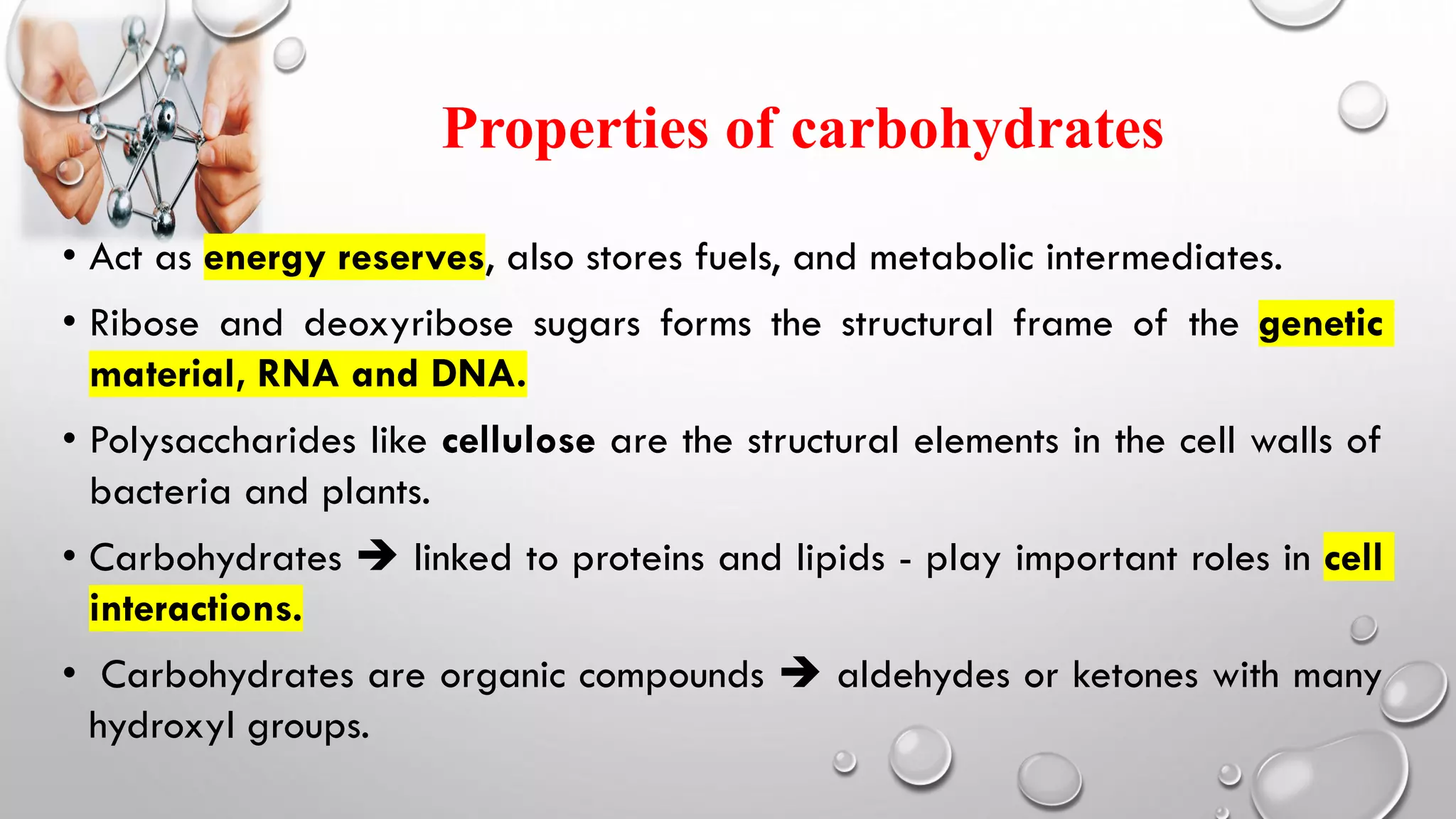 Biomolecules ; CARBOHYDRATES | PDF
