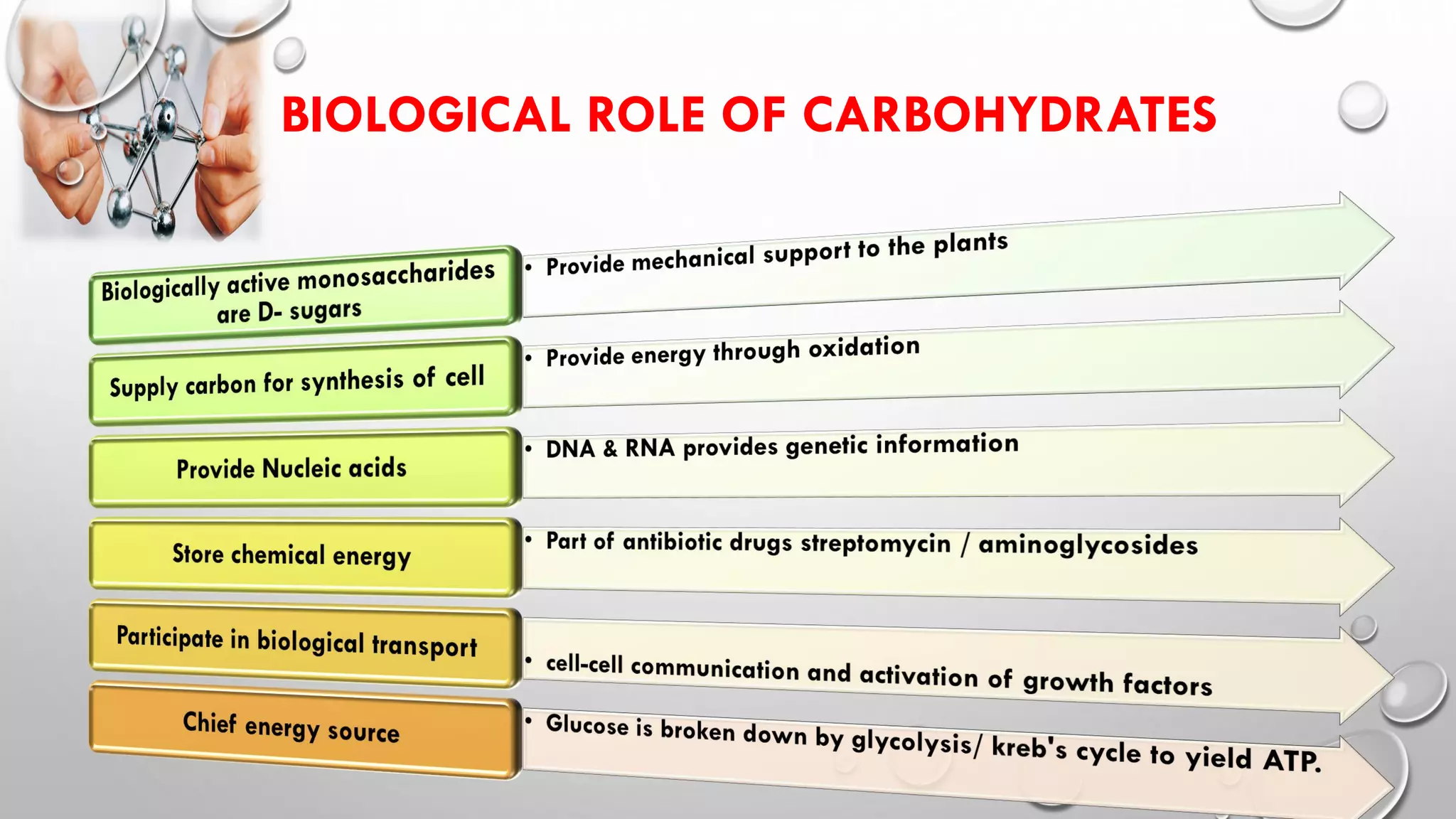 Biomolecules ; CARBOHYDRATES | PDF