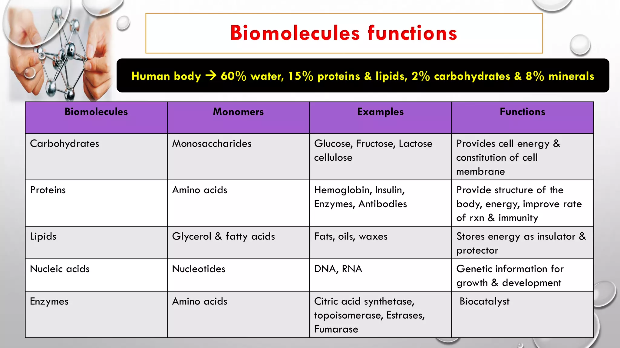 Biomolecules ; CARBOHYDRATES | PDF