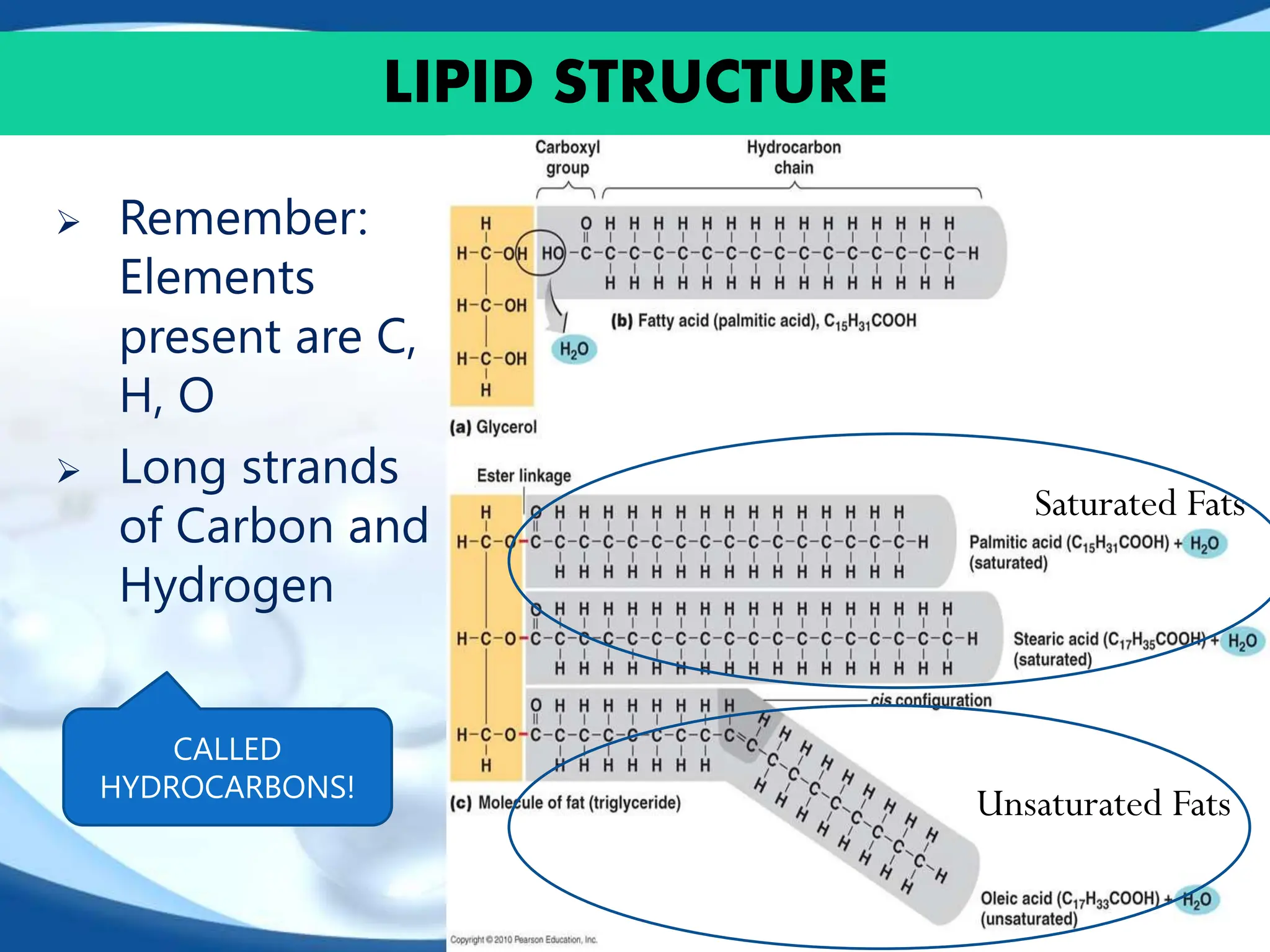 4 macromolecules- the BIOMOLECULES OF LIFE.pptx