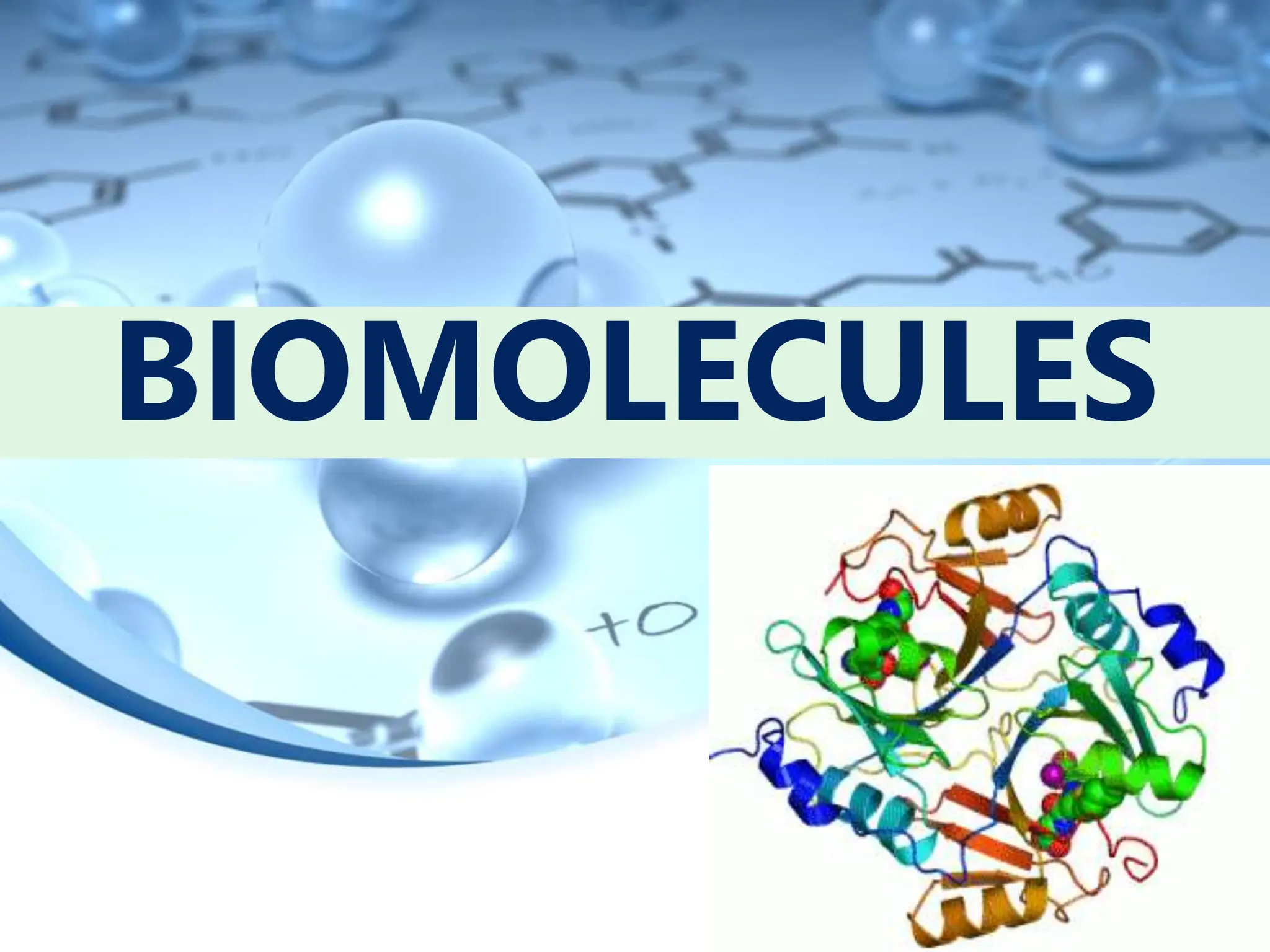 4 macromolecules- the BIOMOLECULES OF LIFE.pptx
