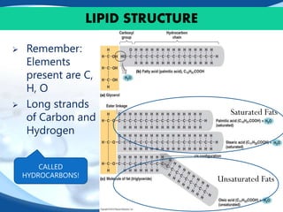 4 macromolecules- the BIOMOLECULES OF LIFE.pptx