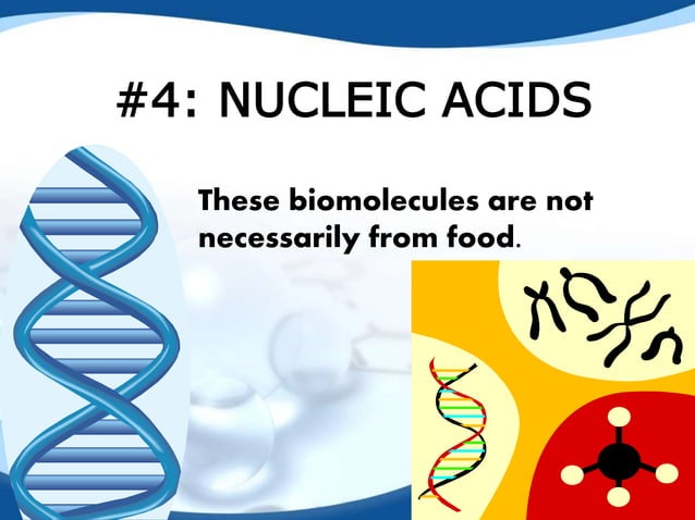 4 macromolecules- the BIOMOLECULES OF LIFE.pptx | Nutrition | Healthy Living