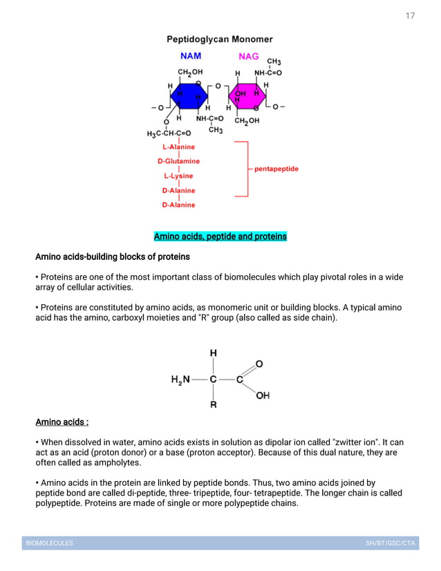 Biomolecules lecture notes | PDF