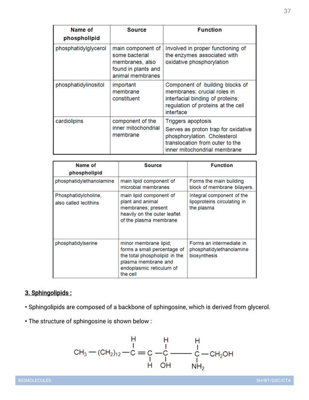 Biomolecules lecture notes | PDF