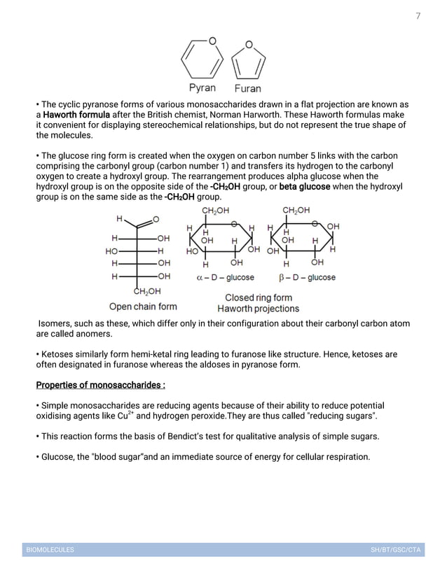 Biomolecules lecture notes | PDF