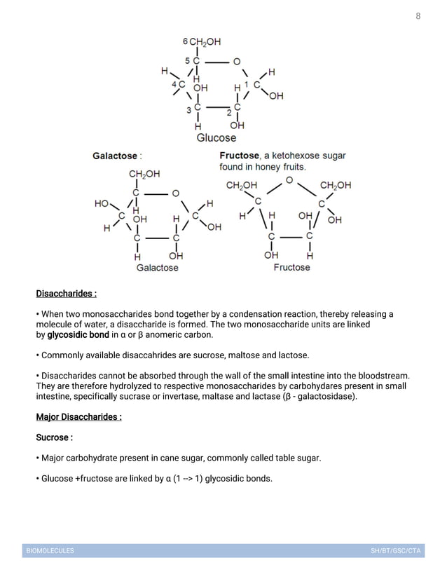 Biomolecules lecture notes | PDF