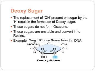 Biomolecules - Glycoside, Amino sugar, Deoxy sugar | PPTX