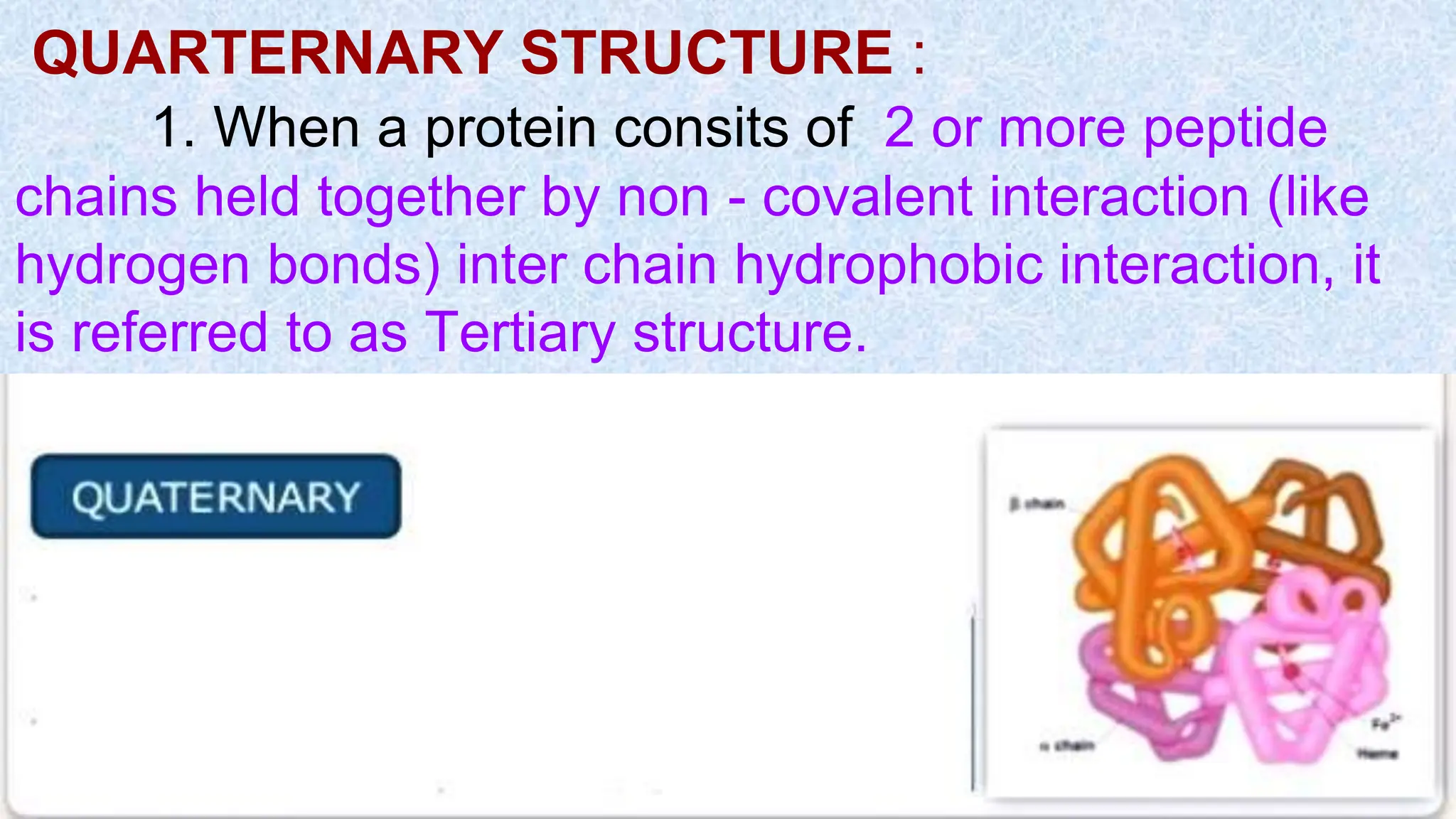 Introduction about Biomolecules - I or Macromolecules introduction | PPT