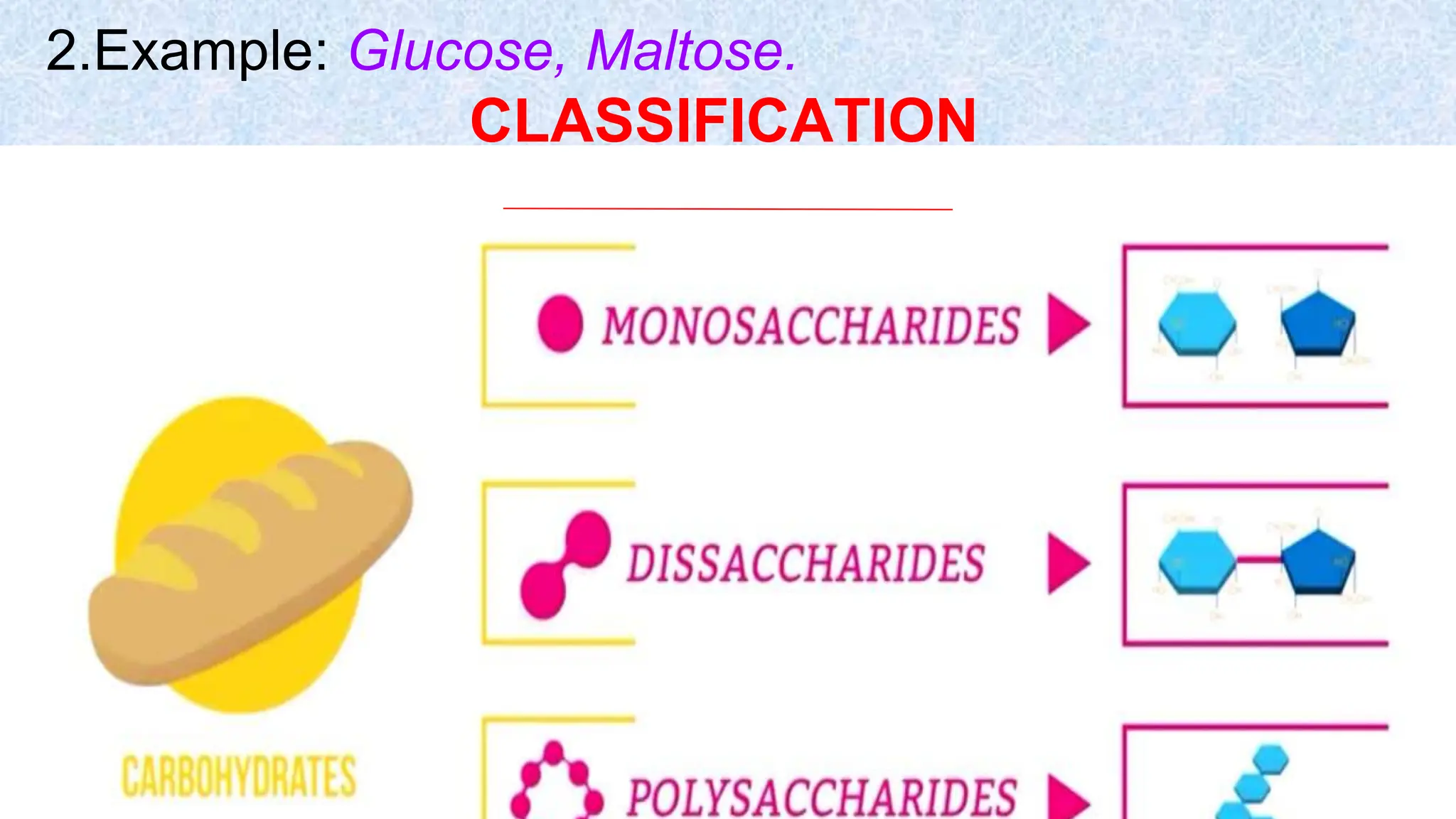 Introduction about Biomolecules - I or Macromolecules introduction | PPT