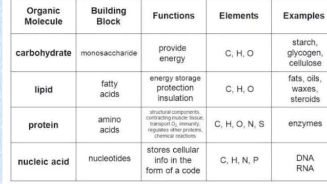 Introduction about Biomolecules - I or Macromolecules introduction | PPT