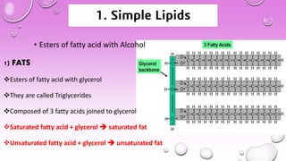 Biomolecules ; LIPIDS | PDF