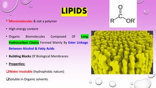 Biomolecules ; LIPIDS | PDF