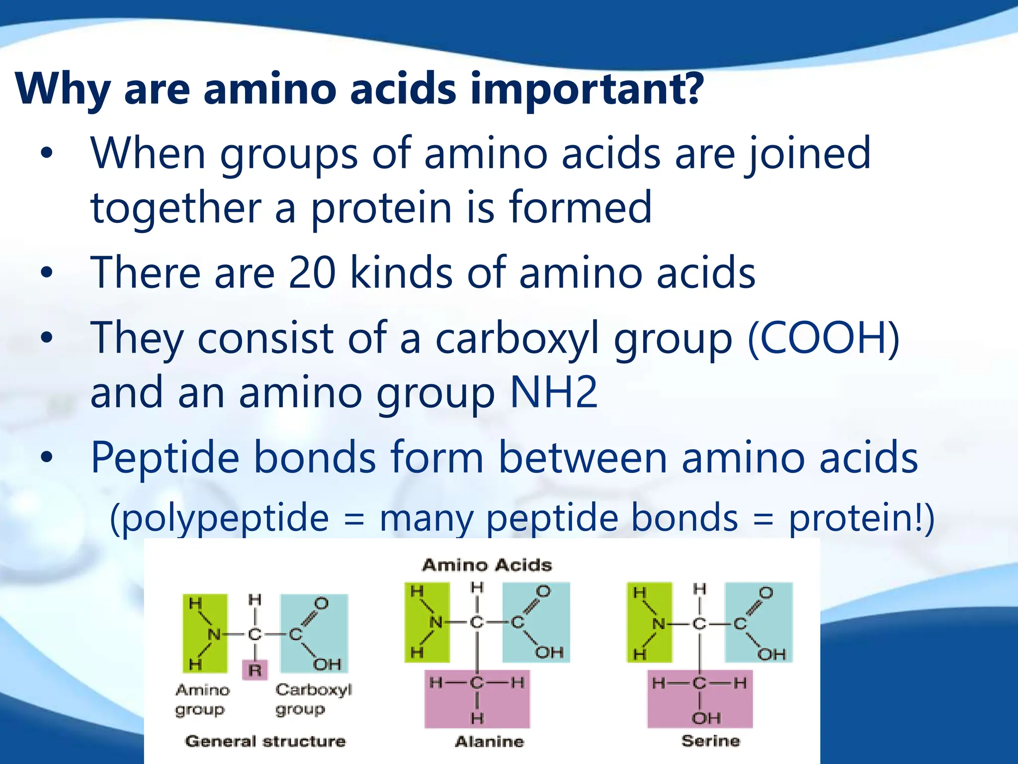 BIOMOLECULES lesson for grade 10 students | PPTX