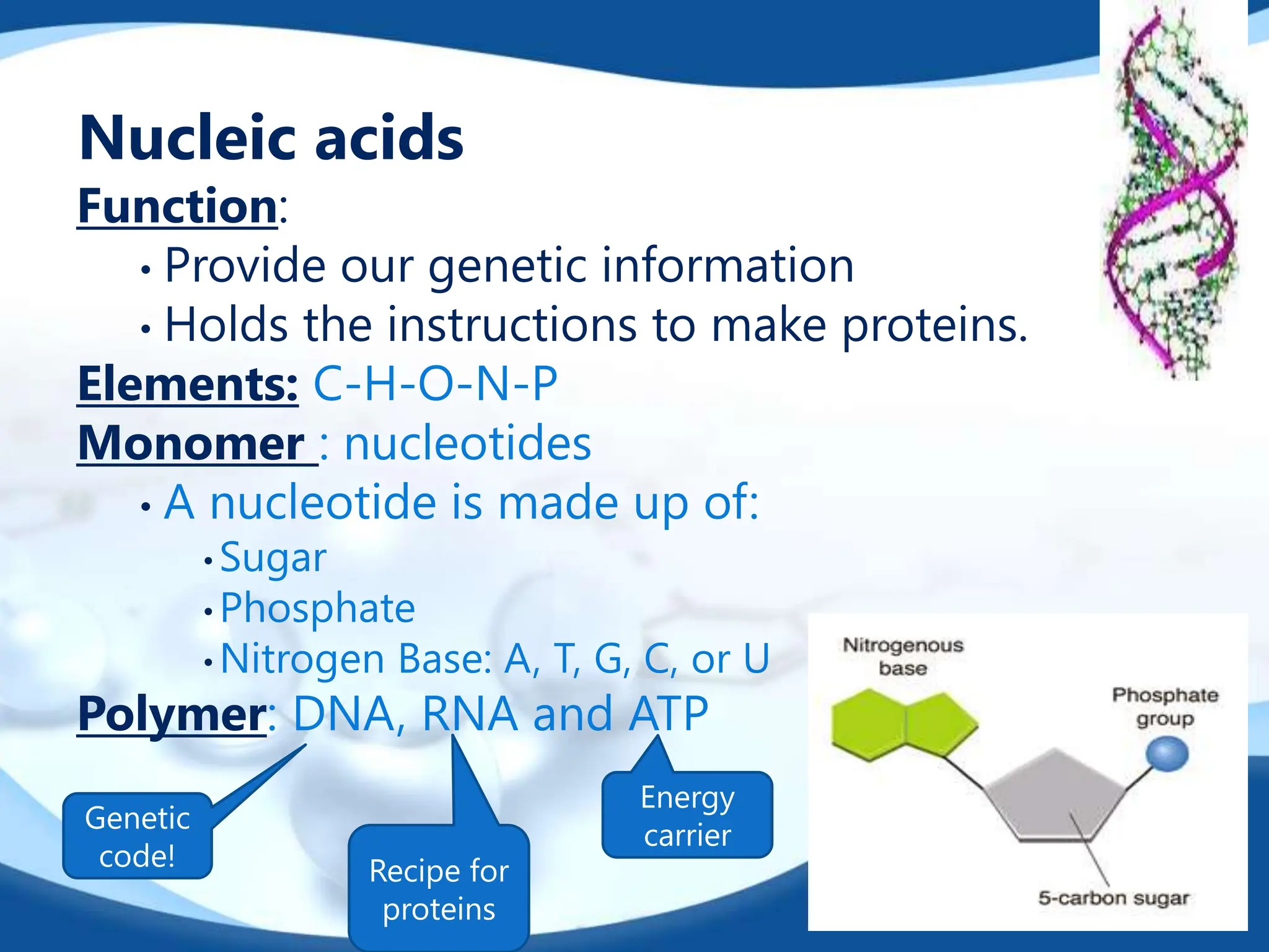 BIOMOLECULES lesson for grade 10 students | PPTX