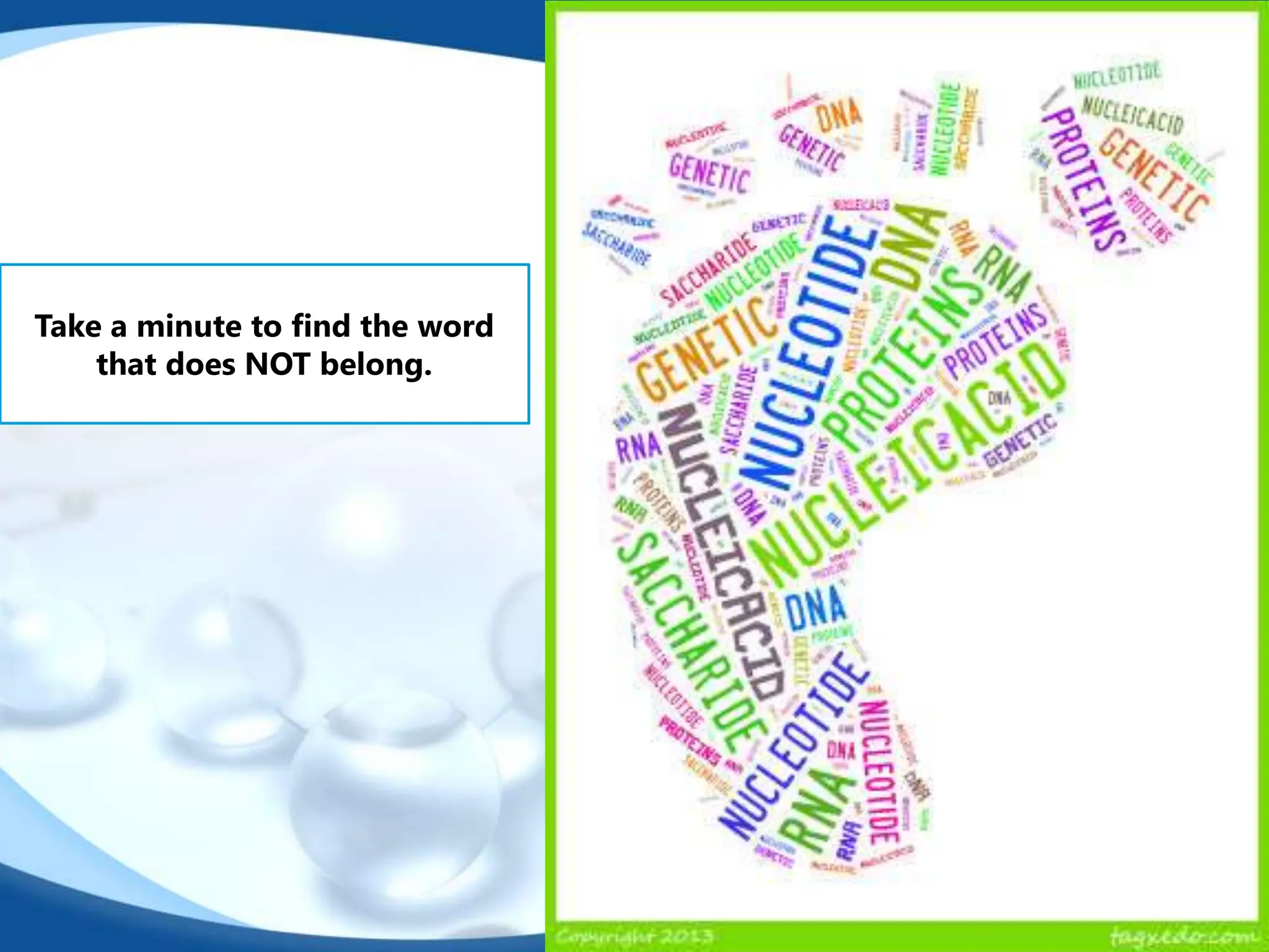 BIOMOLECULES lesson for grade 10 students | PPTX
