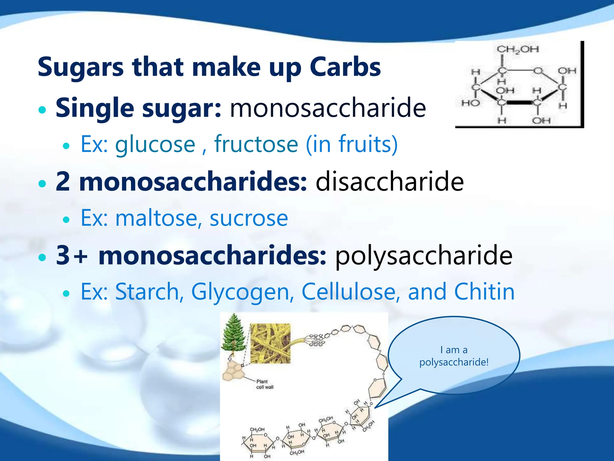 BIOMOLECULES lesson for grade 10 students | PPTX