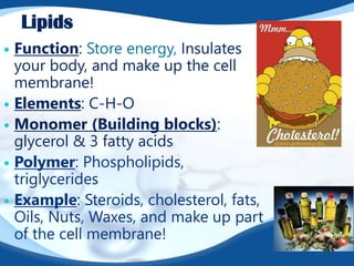 BIOMOLECULES lesson for grade 10 students | PPTX