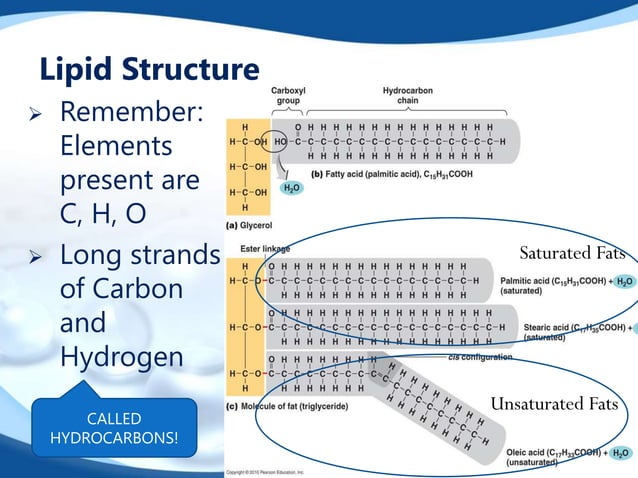 BIOMOLECULES lesson for grade 10 students | PPTX