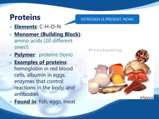 BIOMOLECULES lesson for grade 10 students | PPTX