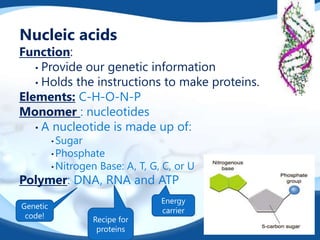 BIOMOLECULES lesson for grade 10 students | PPTX
