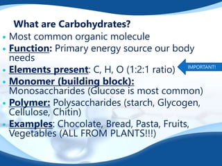 BIOMOLECULES lesson for grade 10 students | PPTX