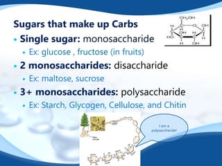 BIOMOLECULES lesson for grade 10 students | PPTX