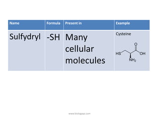 Biomolecules and biochemical reactions | PPT