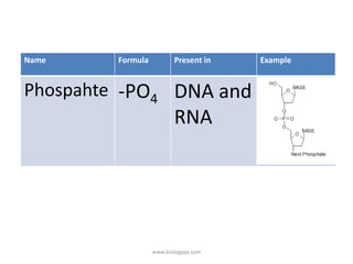 Biomolecules and biochemical reactions | PPT