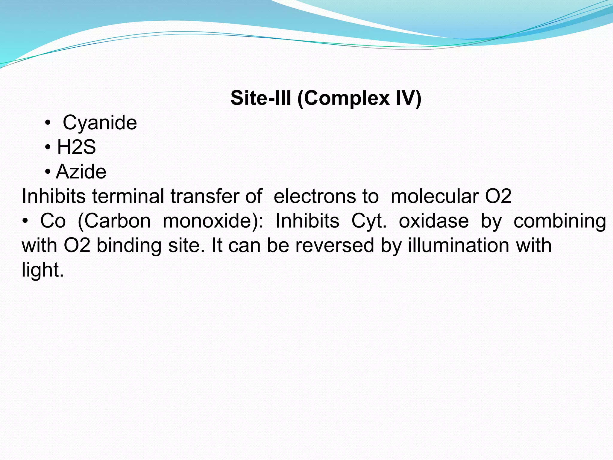 Biomolecules and bioenergetics | PPTX