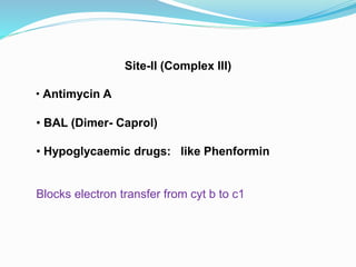 Biomolecules and bioenergetics | PPTX