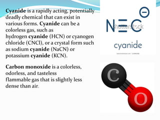 Biomolecules and bioenergetics | PPTX