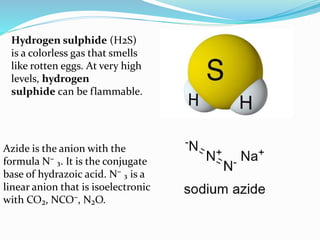 Biomolecules and bioenergetics | PPTX