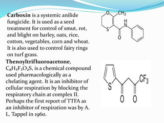 Biomolecules and bioenergetics | PPTX