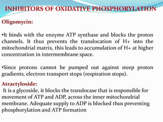 Biomolecules and bioenergetics | PPTX