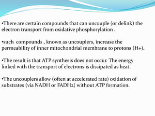 Biomolecules and bioenergetics | PPTX