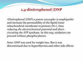 Biomolecules and bioenergetics | PPTX