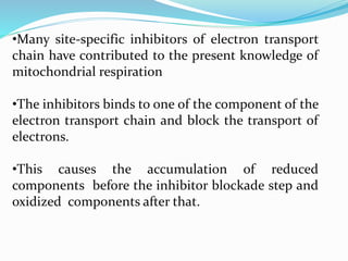 Biomolecules and bioenergetics | PPTX