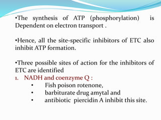 Biomolecules and bioenergetics | PPTX