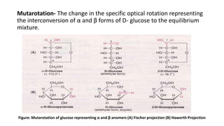 Biomolecules and carbohydrates | PDF