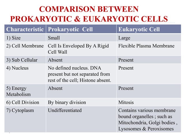 Biomolecules and the cell MEMBRANE, TRANSPORT SYSTEM | PPT