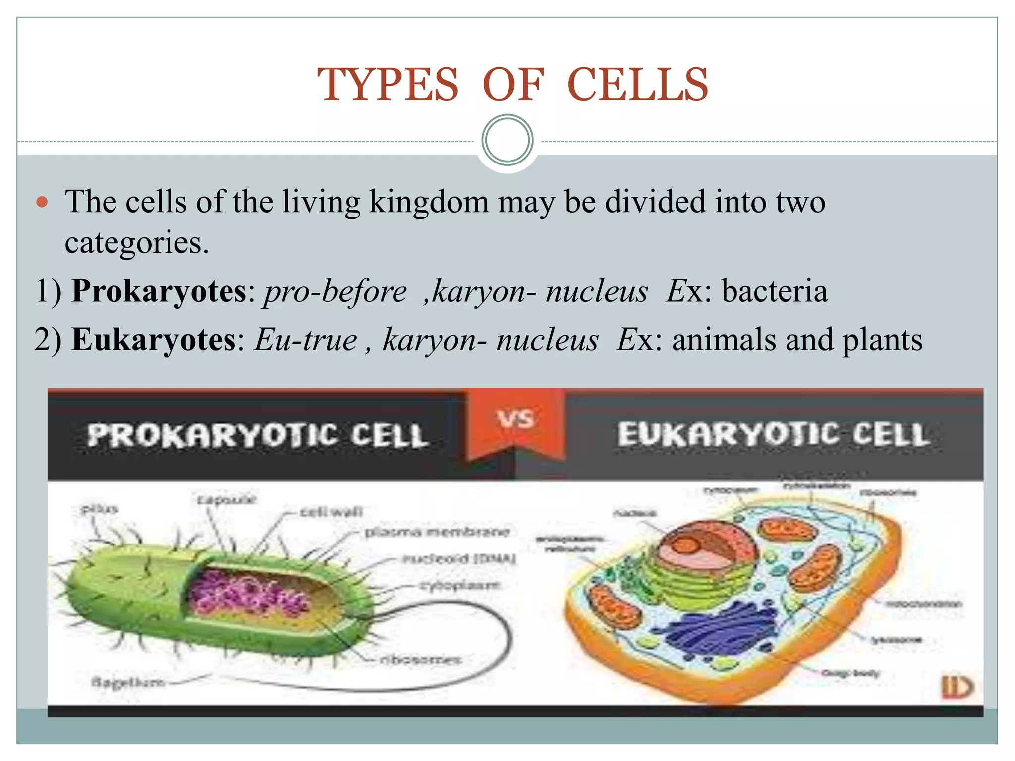Biomolecules and the cell MEMBRANE, TRANSPORT SYSTEM | PPTX