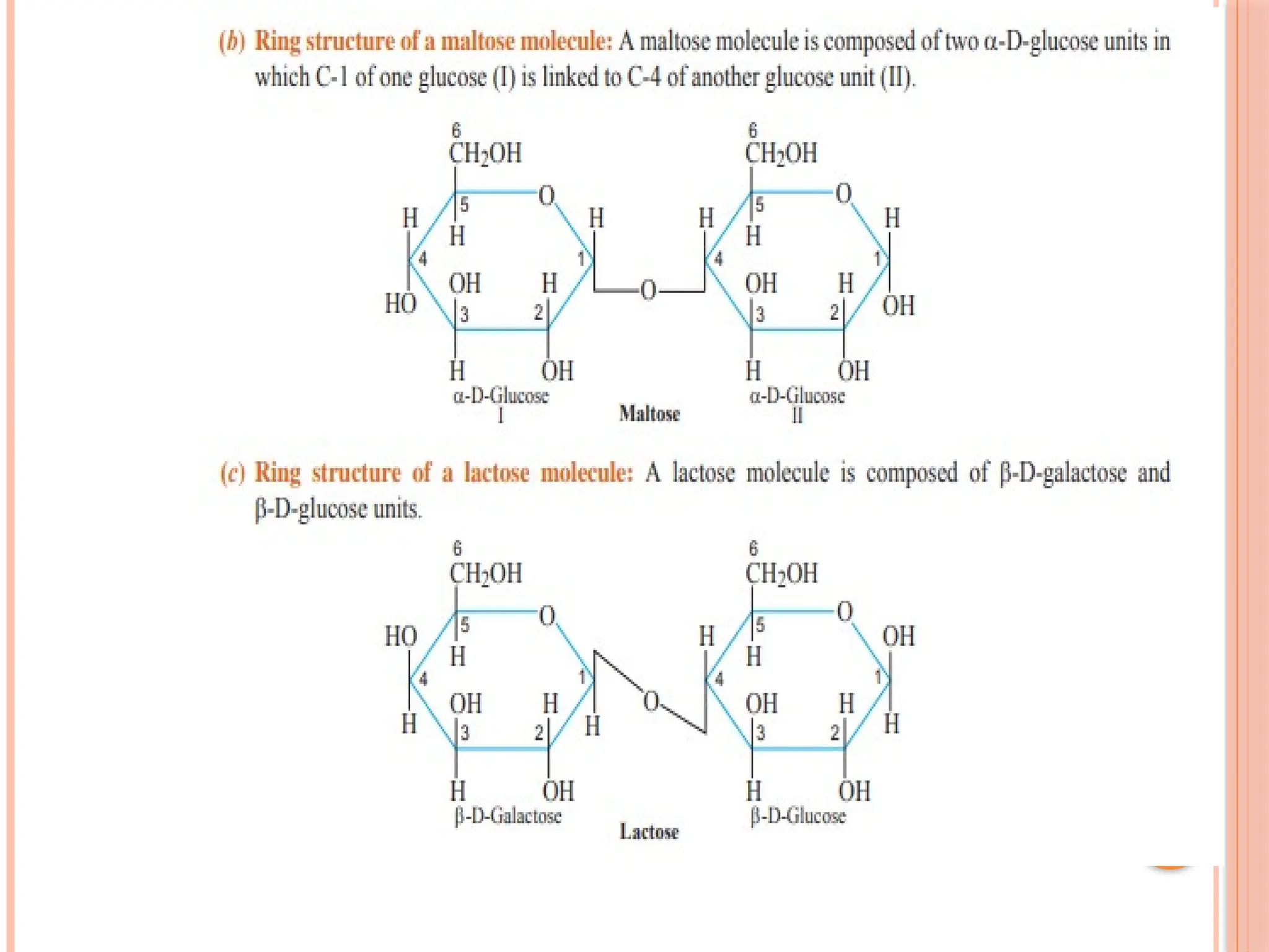 Biomolecules ppt for learning with easy notes | PPTX