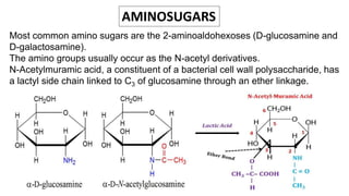 Biomolecules: carbohydrates (polysaccharides) | PPT
