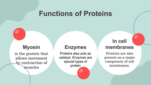 Biomolecules Chemistry 10 4th quarter.pptx